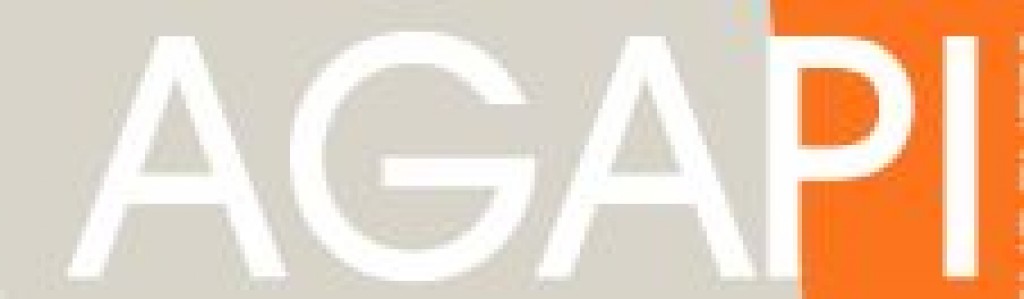 AGAPI tendrá nueva Junta Directiva | Noticias | Web Oficial de Turismo ...