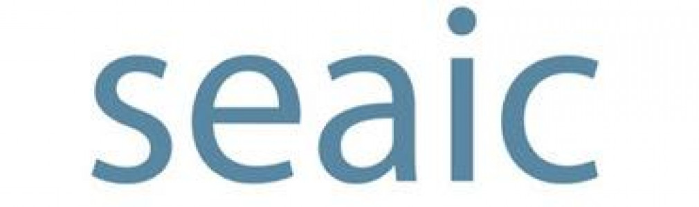 34º Congreso Nacional de la Sociedad Española de Alergología e Inmunología Clínica (SEAIC ...